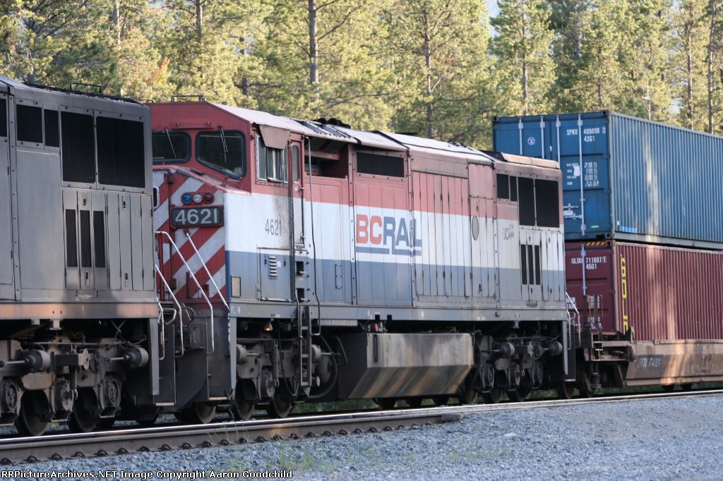 BCOL 4621